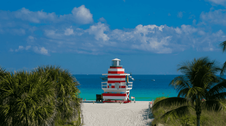5 increíbles Lugares para Visitar en MIAMI, ¡te encantarán!